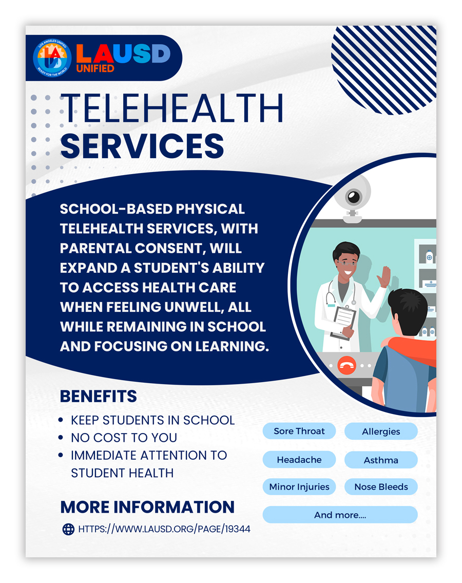 Office of the Chief Medical Director / Telehealth Pilot Regions N & S ...